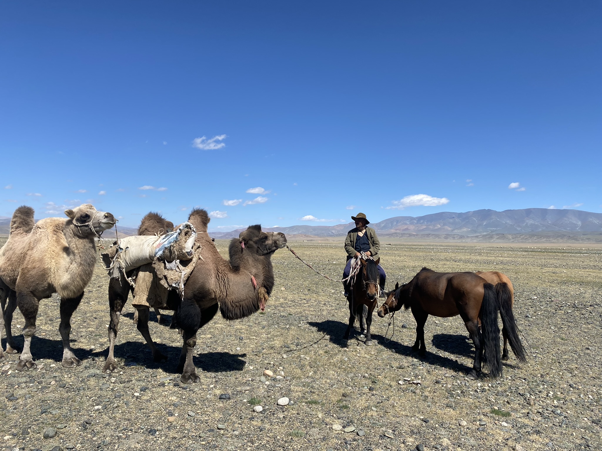 Ralph Blom en Anke Tusveld | Pionieren in Leiderschap | Deel 2