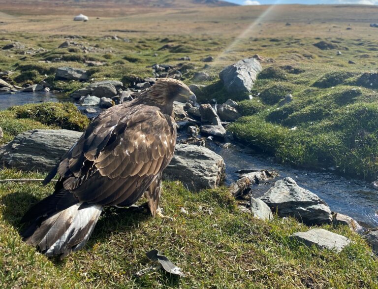 Ralph Blom en Anke Tusveld | Pionieren in Leiderschap | Deel 2