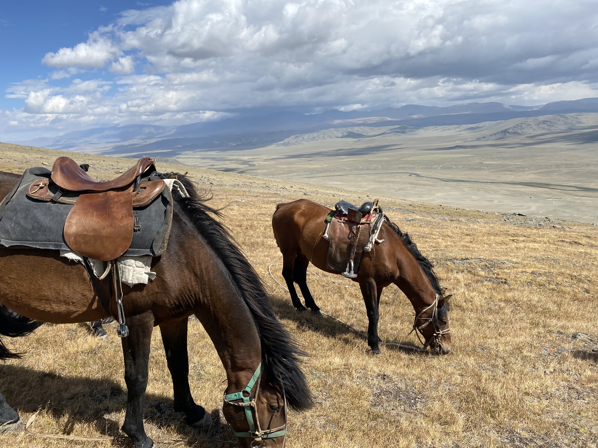 Ralph Blom en Anke Tusveld | Pionieren in Leiderschap | Deel 3